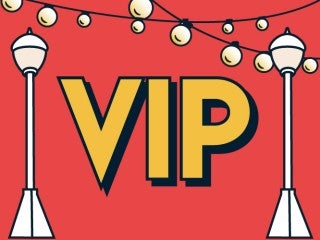 2025 3-Day VIP Ticket