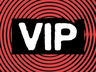 2025 1-Day VIP Ticket