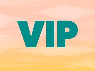Single Day VIP