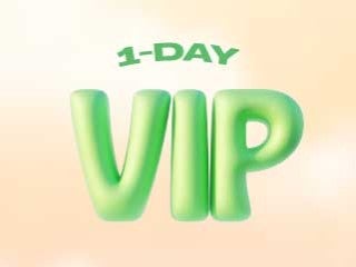 1-Day VIP